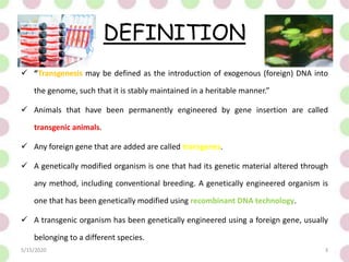 Transgenic animals, mice and fish | PPTX