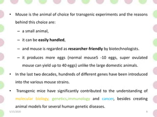 Transgenic animals, mice and fish | PPTX