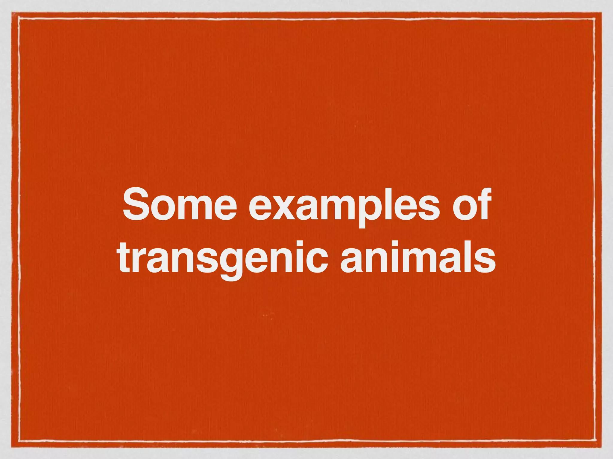 Transgenic animals | PPT
