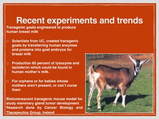 Transgenic animals | PDF