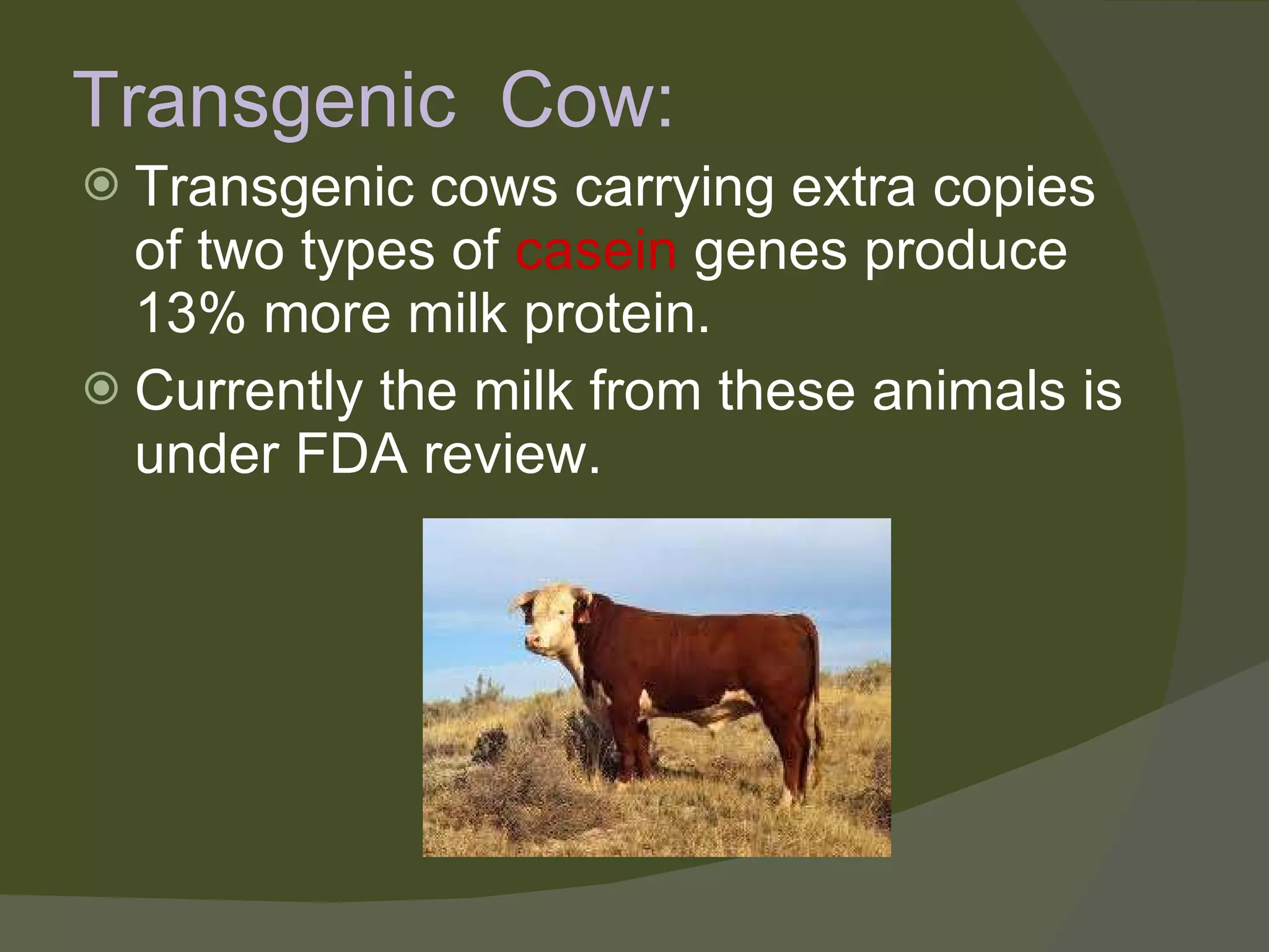 Transgenic animals ppt | PPT