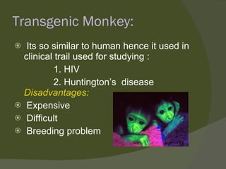 Transgenic animals ppt | PPT