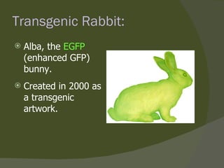 Transgenic animals ppt | PPT