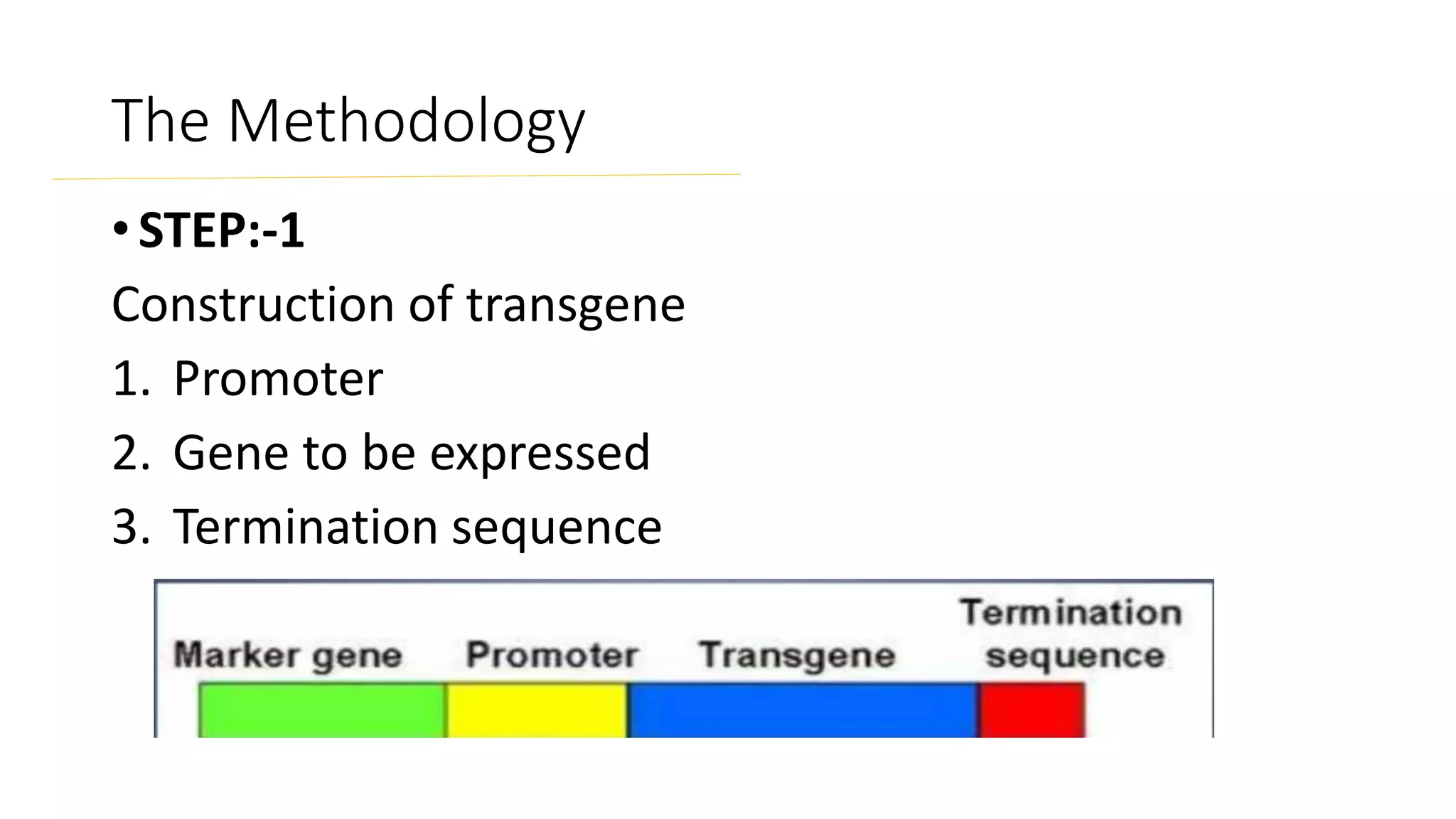 transgenic animals , its production and application | PPTX