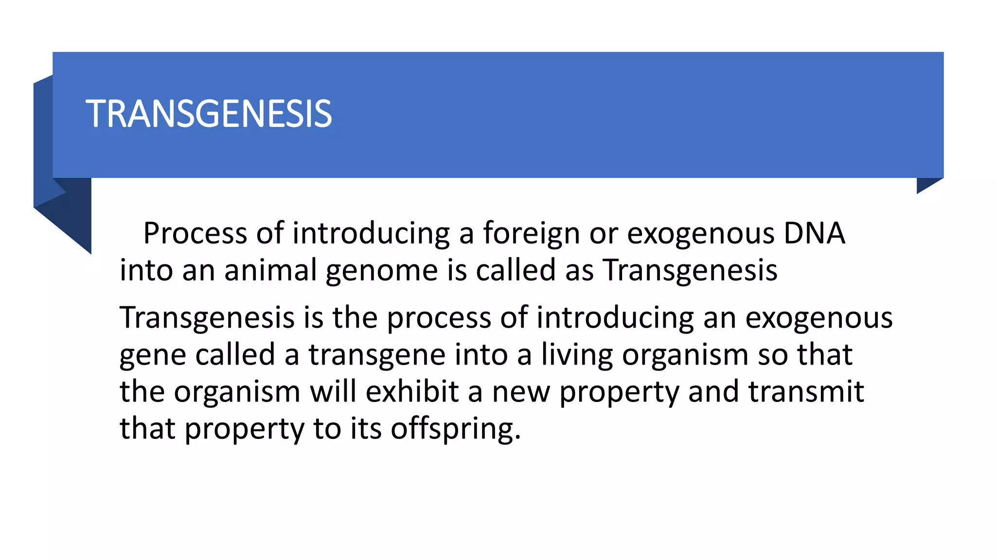 transgenic animals , its production and application | PPTX