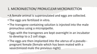 transgenic animals , its production and application | PPTX