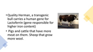 transgenic animals , its production and application | PPTX