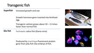 transgenic animals , its production and application | PPTX