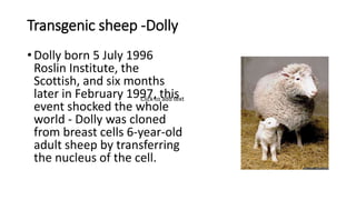 transgenic animals , its production and application | PPTX