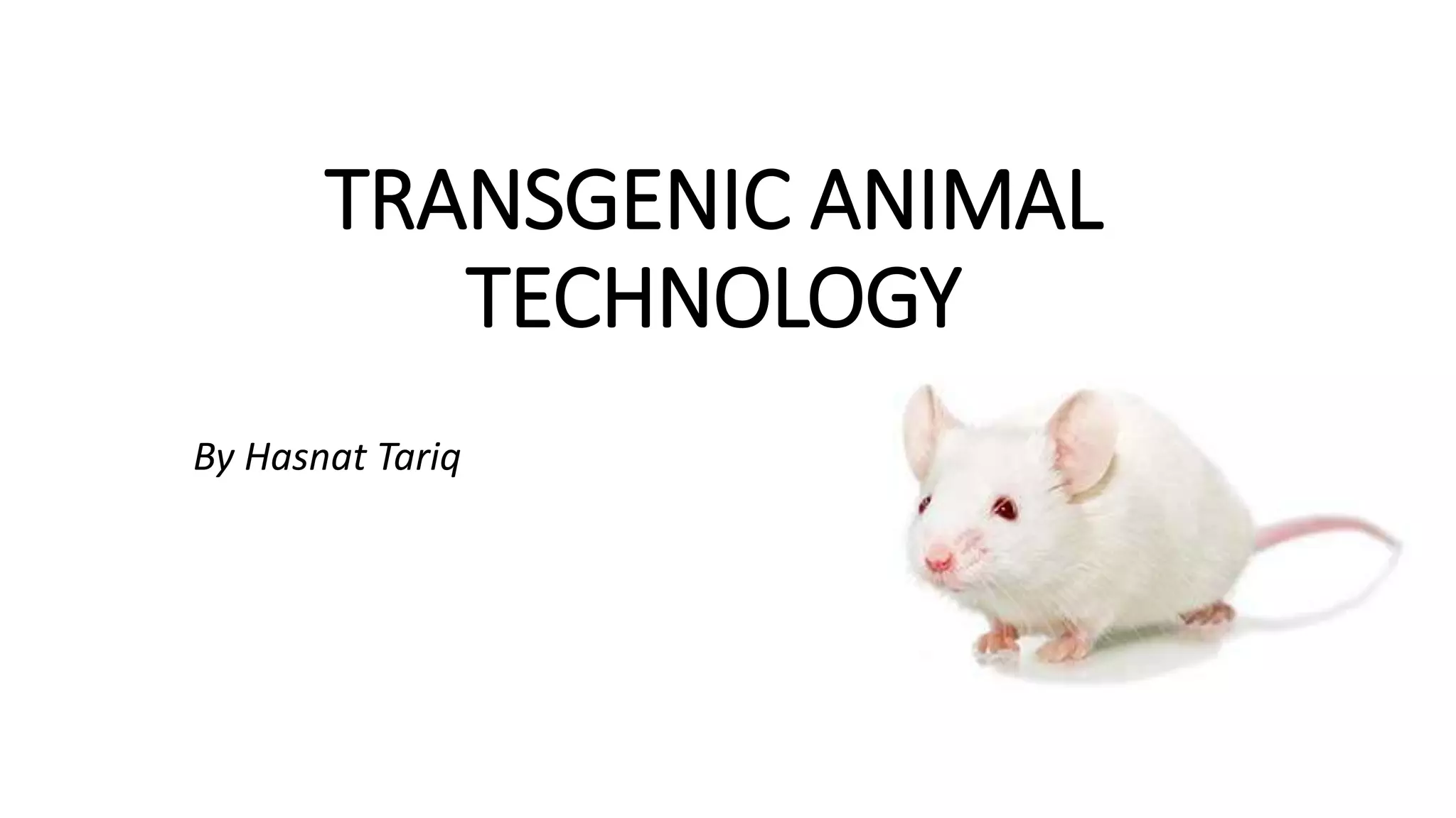 Transgenic animal technology ppt | PPTX