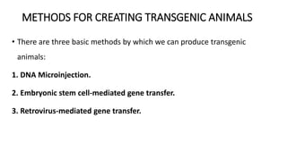 Transgenic animal technology ppt | PPTX