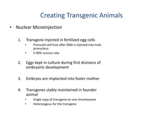 Transgenic animlas | PPT