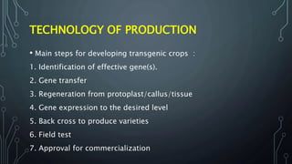 Transgenic cotton | PPTX
