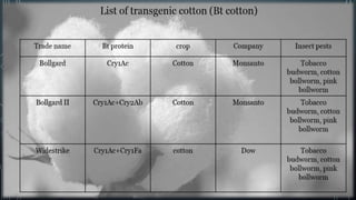 Transgenic cotton | PPTX