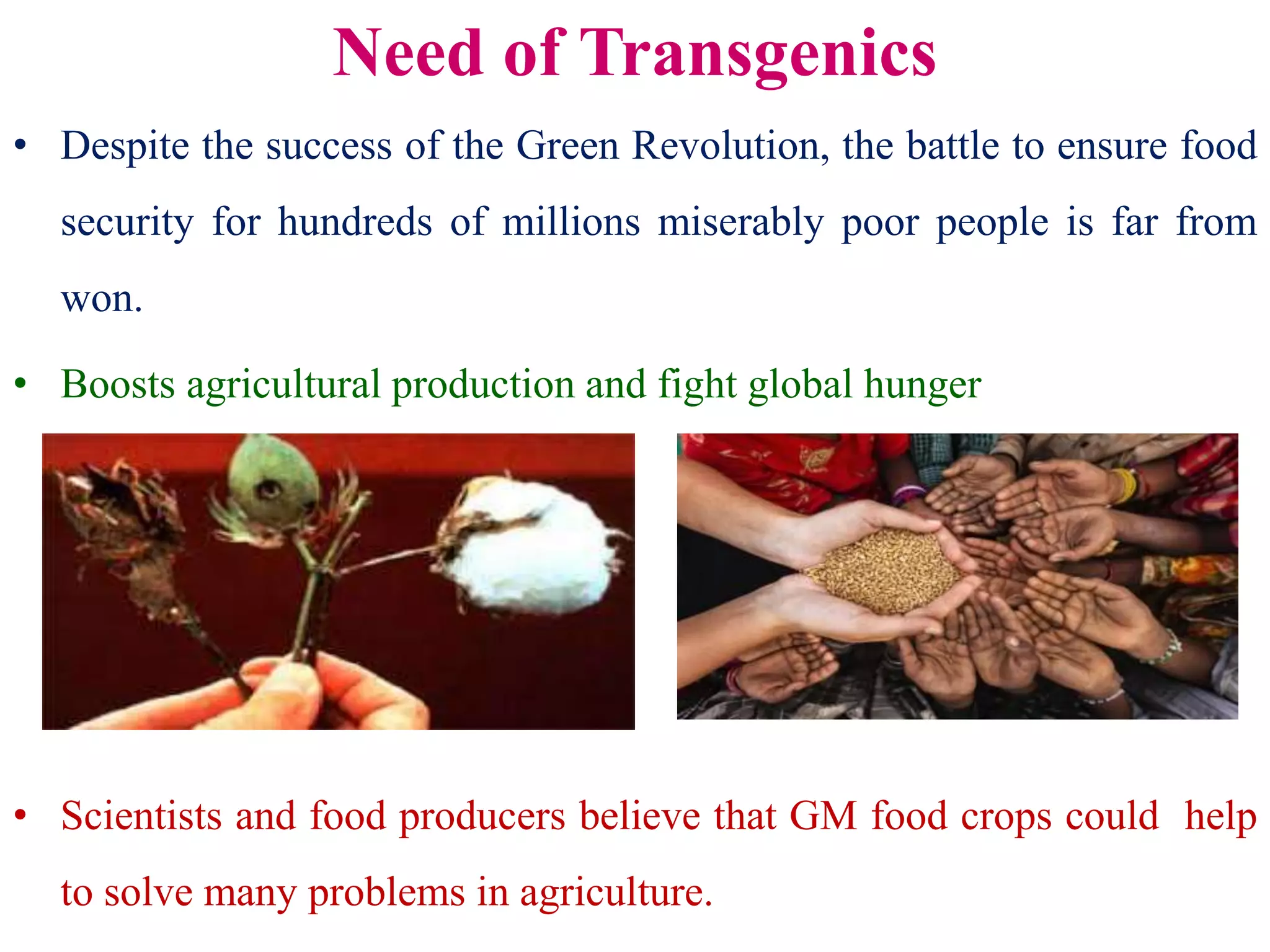 Transgenic crops | PPT