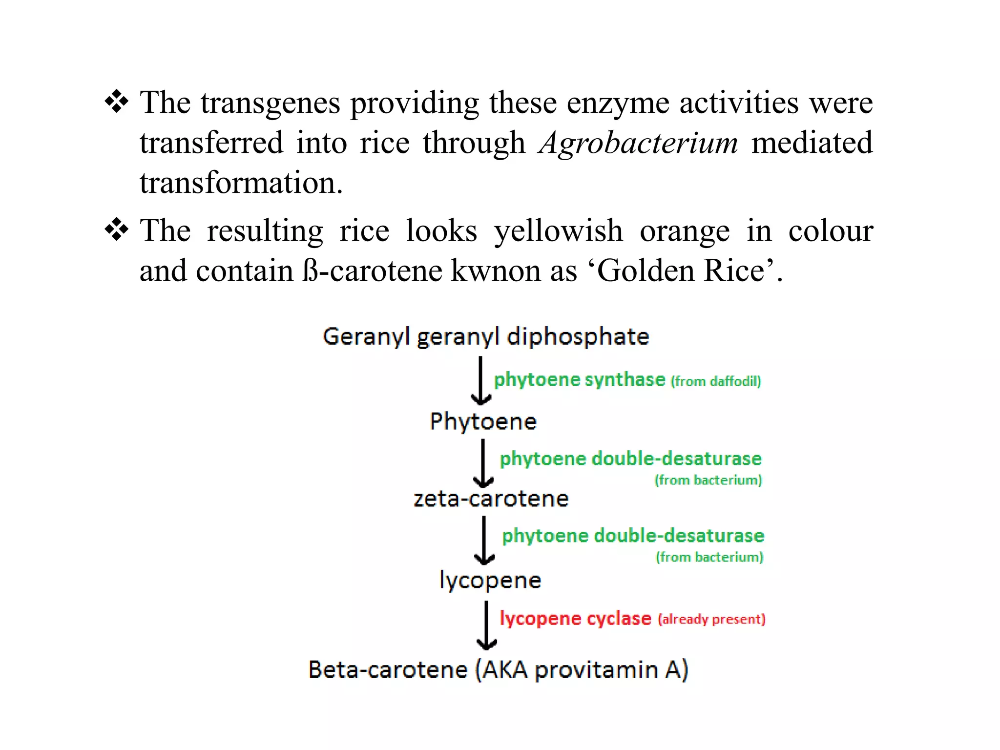 Transgenic crops and application | PPTX