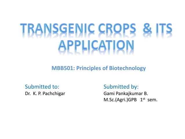 Transgenic crops and application | PPTX