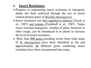 Transgenic crops and application | PPTX