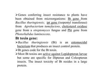 Transgenic crops and application | PPTX