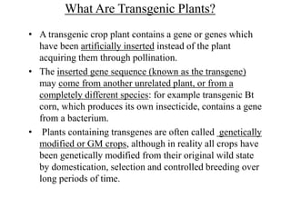 Transgenic crops and application | PPTX