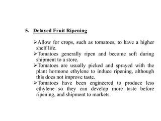 Transgenic crops and application | PPTX