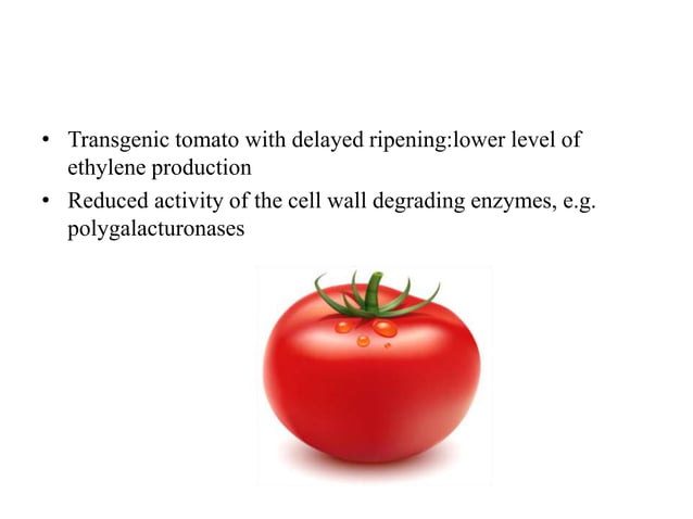 Transgenic crops and application | PPTX