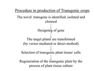 Transgenic crops and application | PPTX