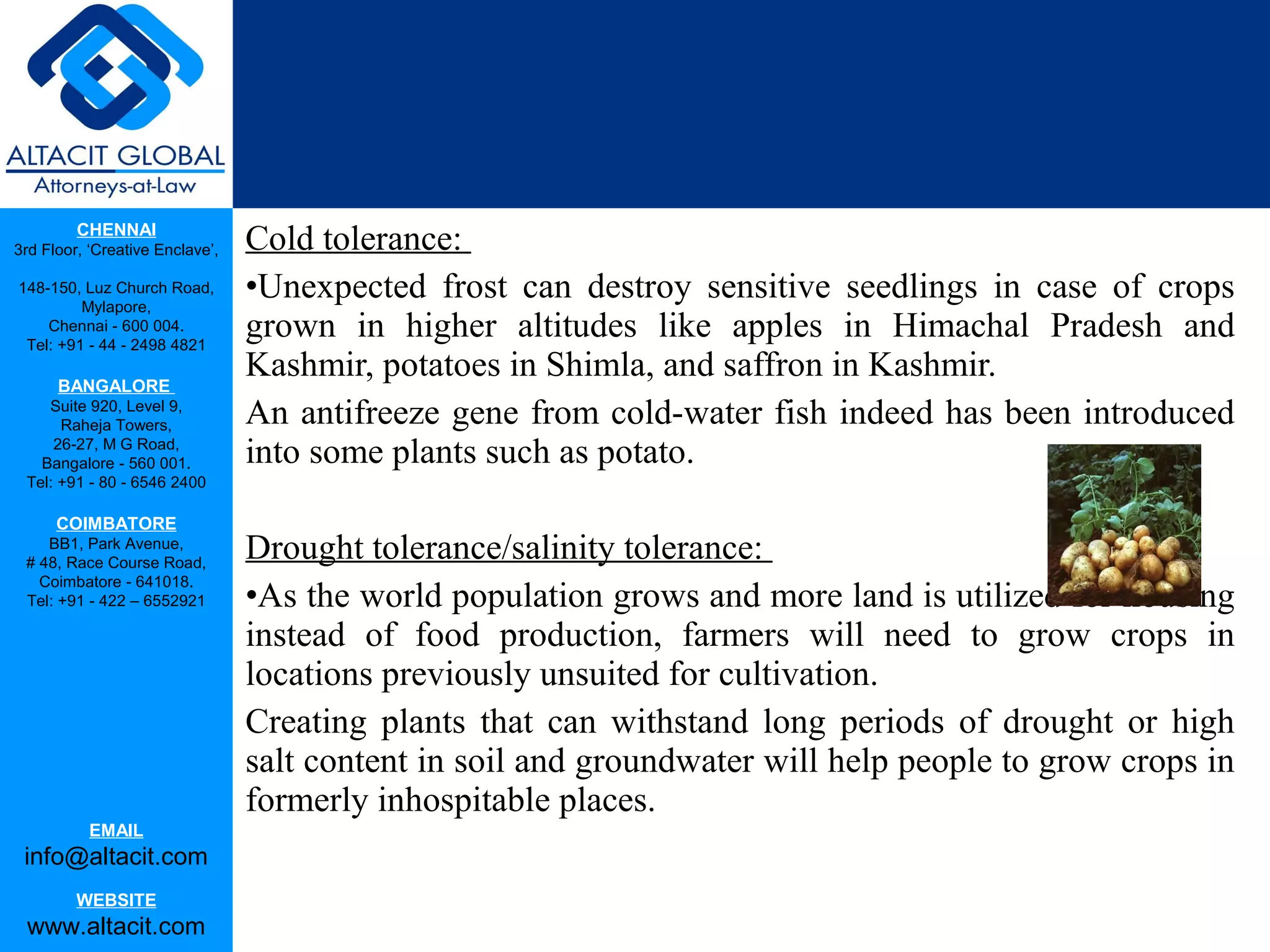 Transgenic crops boon or bane | PPT