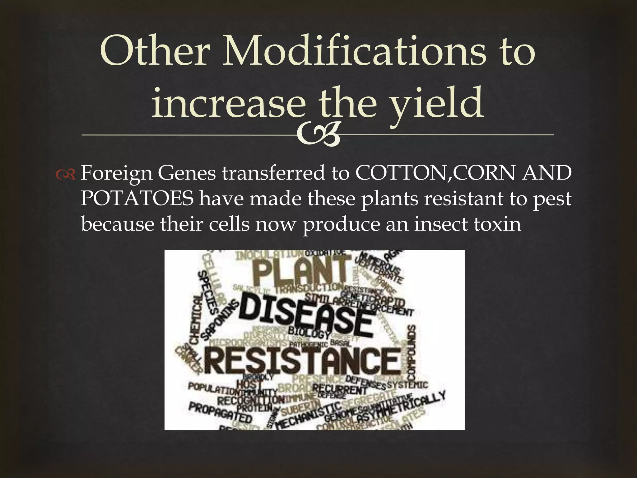 Transgenic crops and their uses in various Fields | PPTX