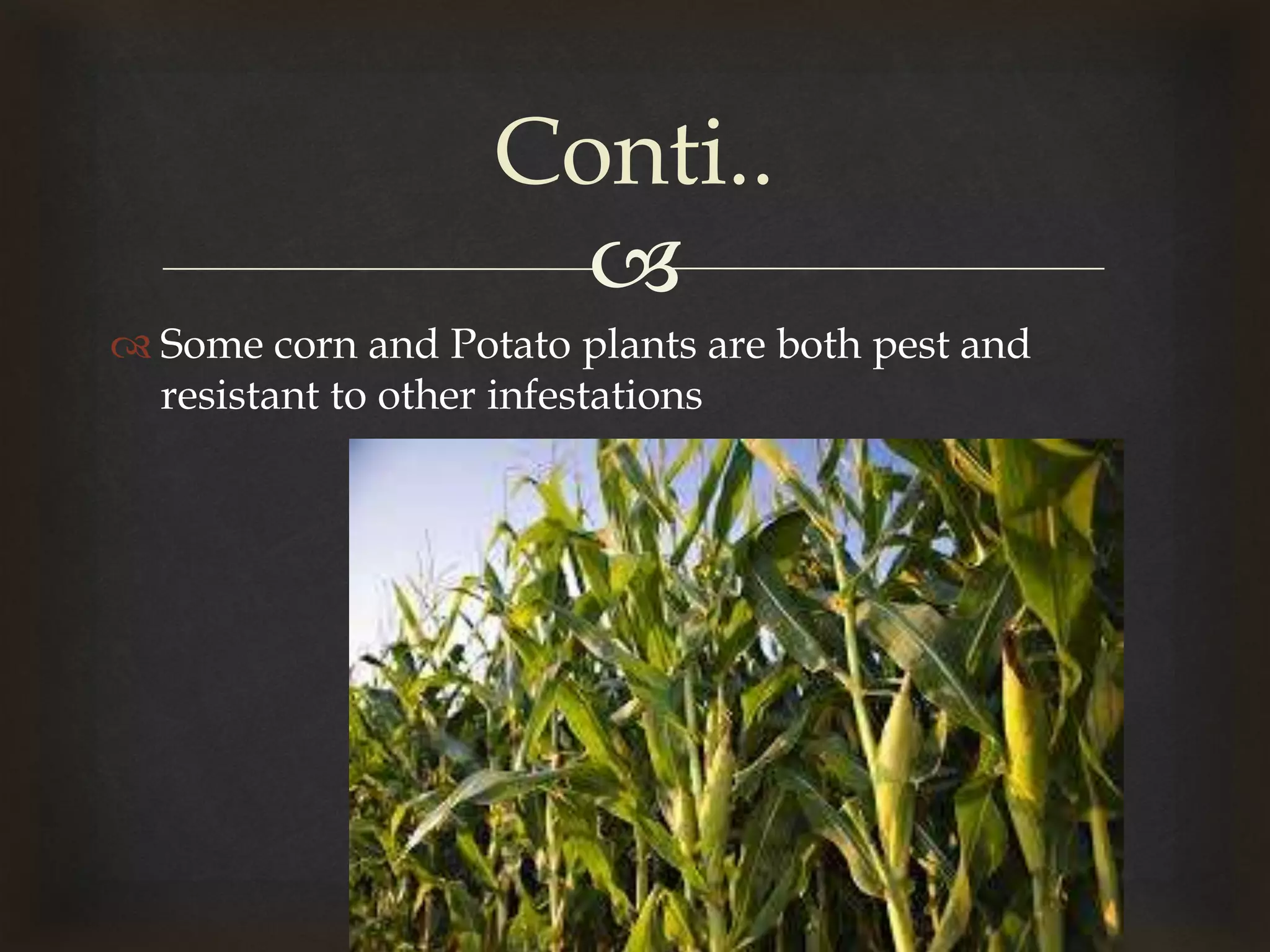Transgenic crops and their uses in various Fields | PPTX