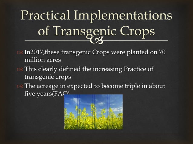 Transgenic crops and their uses in various Fields | PPTX | Agriculture ...