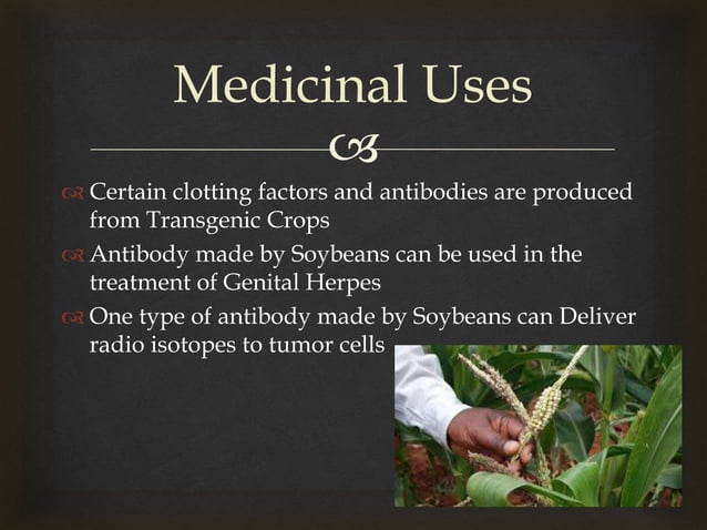 Transgenic crops and their uses in various Fields | PPTX | Agriculture ...