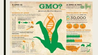 Transgenic crops for food quality. | PPTX