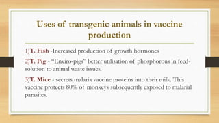 Transgenic dog | PPT