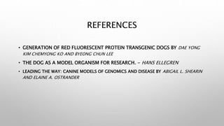 Transgenic dogs | PPTX | Dogs | Pets