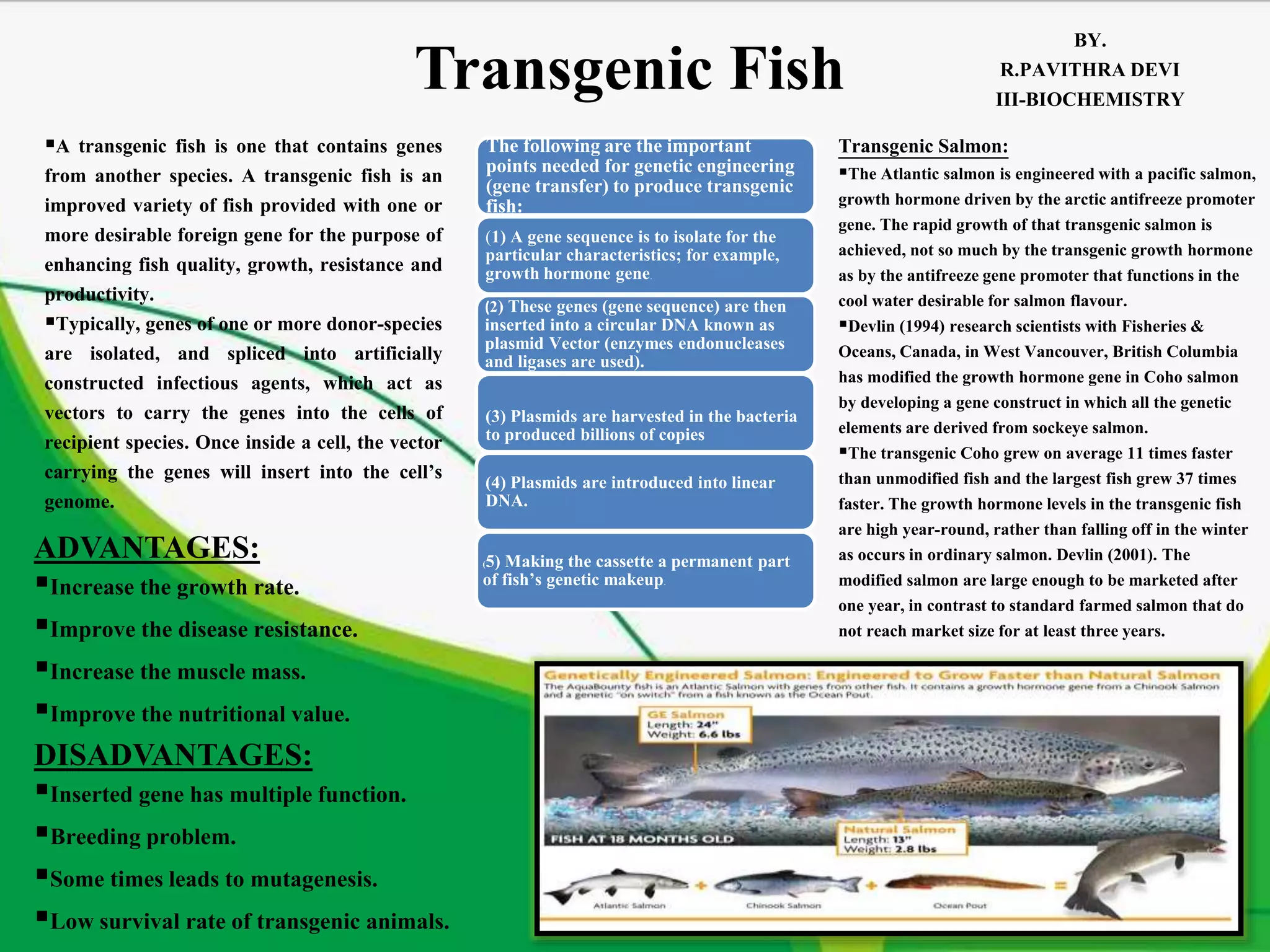 Transgenic fish | PPTX