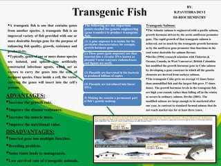 Transgenic fish | PPTX