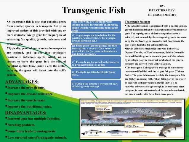 Transgenic fish | PPTX | Genetics | Science