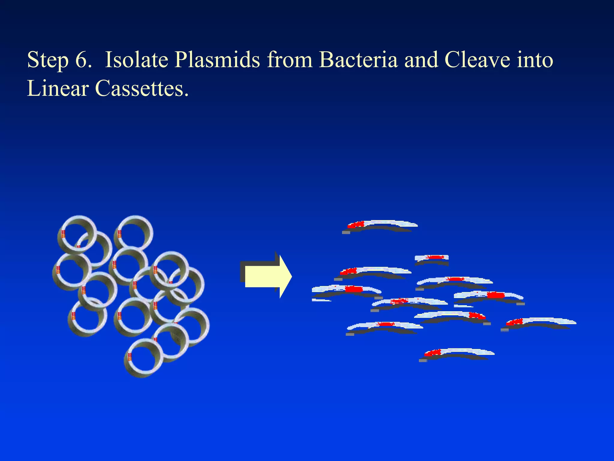 Transgenic fish, bird by kk sahu | PPT