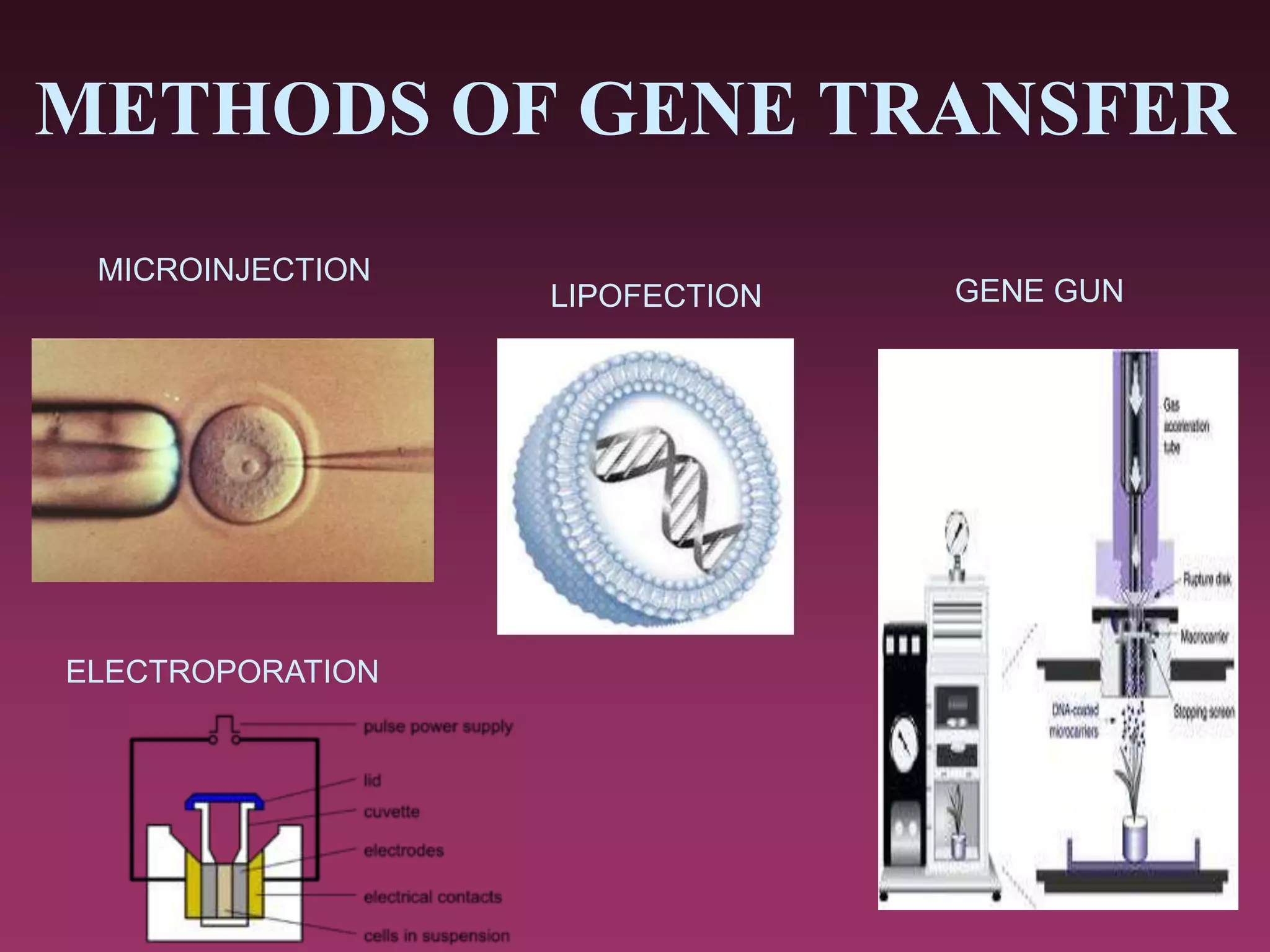 Transgenic fish, bird by kk sahu | PPT