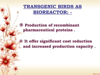 Transgenic fish, bird by kk sahu | PPT