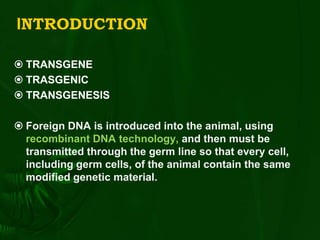 Transgenic fish, bird by kk sahu | PPT