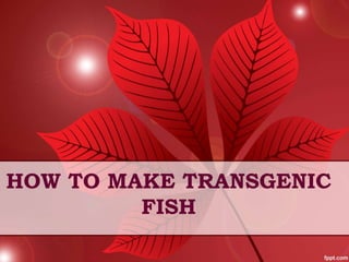 Transgenic fish, bird by kk sahu | PPT