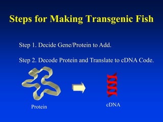 Transgenic fish, bird by kk sahu | PPT