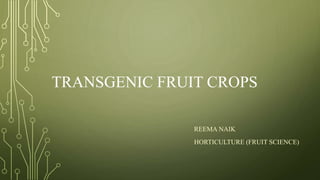 TRANSGENIC FRUIT CROPS.pptx
