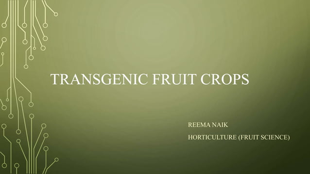 TRANSGENIC FRUIT CROPS.pptx | Biotech and Biomedical Industry | Industries