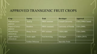 TRANSGENIC FRUIT CROPS.pptx