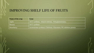 TRANSGENIC FRUIT CROPS.pptx