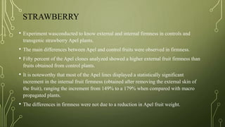 TRANSGENIC FRUIT CROPS.pptx | Biotech and Biomedical Industry | Industries