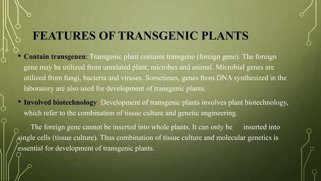 TRANSGENIC FRUIT CROPS.pptx | Biotech and Biomedical Industry | Industries